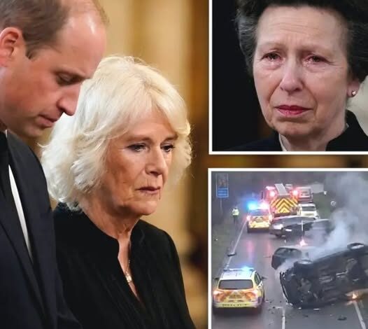 WORLD IN SHOCK! At 12:00 p.m. sharp, Prince William and Princess Anne ...